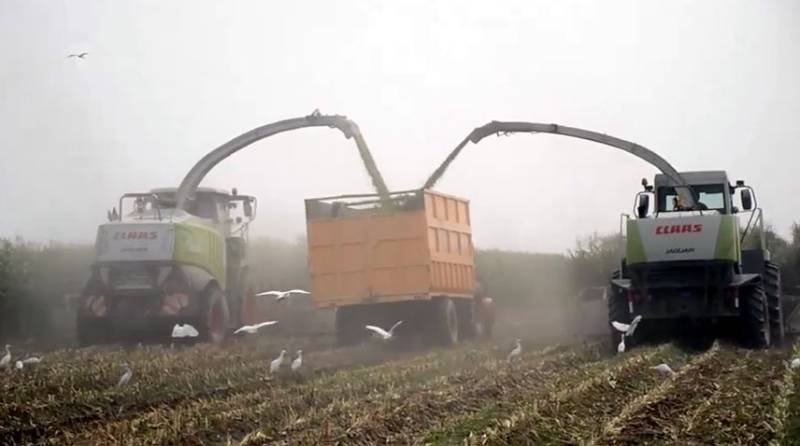 Harvesting at country's first corporate farm begins - PEconomist